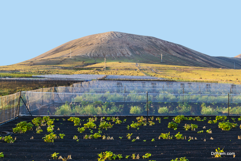 Dangers of living near volcano and why people still do