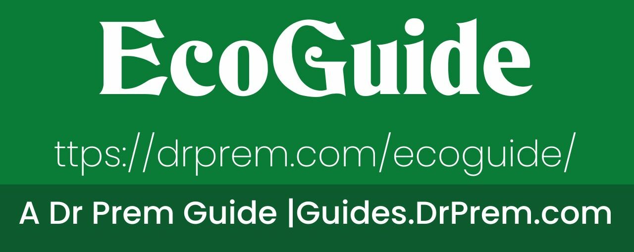 12 Sustainable bus stop designs and why we need them - EcoGuide