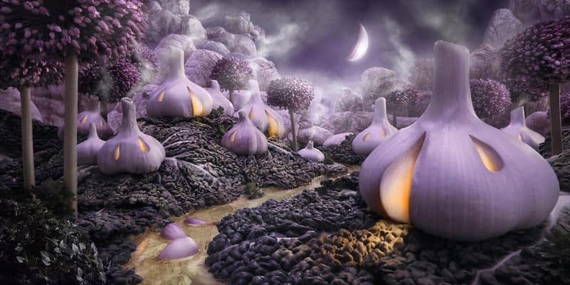 Welcome To Foodscapes – A Land Filled With Food Art and Edible Creations