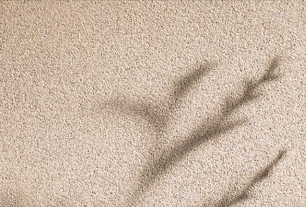 Different textures to work with for stunning interior walls - HomeGuide