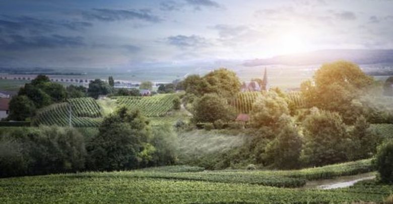 Champagne - France - Dr Prem Travel & Tourism Guide, Consultancy & Magazine