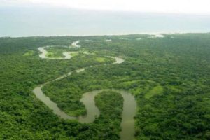 Río Plátano Biosphere Reserve - Dr Prem Travel & Tourism Guide ...
