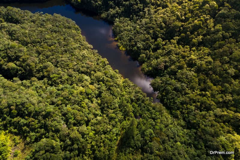 8 Rainforest vacation packages worth exploring this year - Dr Prem ...