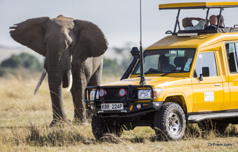 Complete Guide to Wildlife Tourism by Dr Prem – Definition, History ...